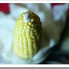 Chevy's Sweet Corn Tomalito Recipe - (3.8/5)